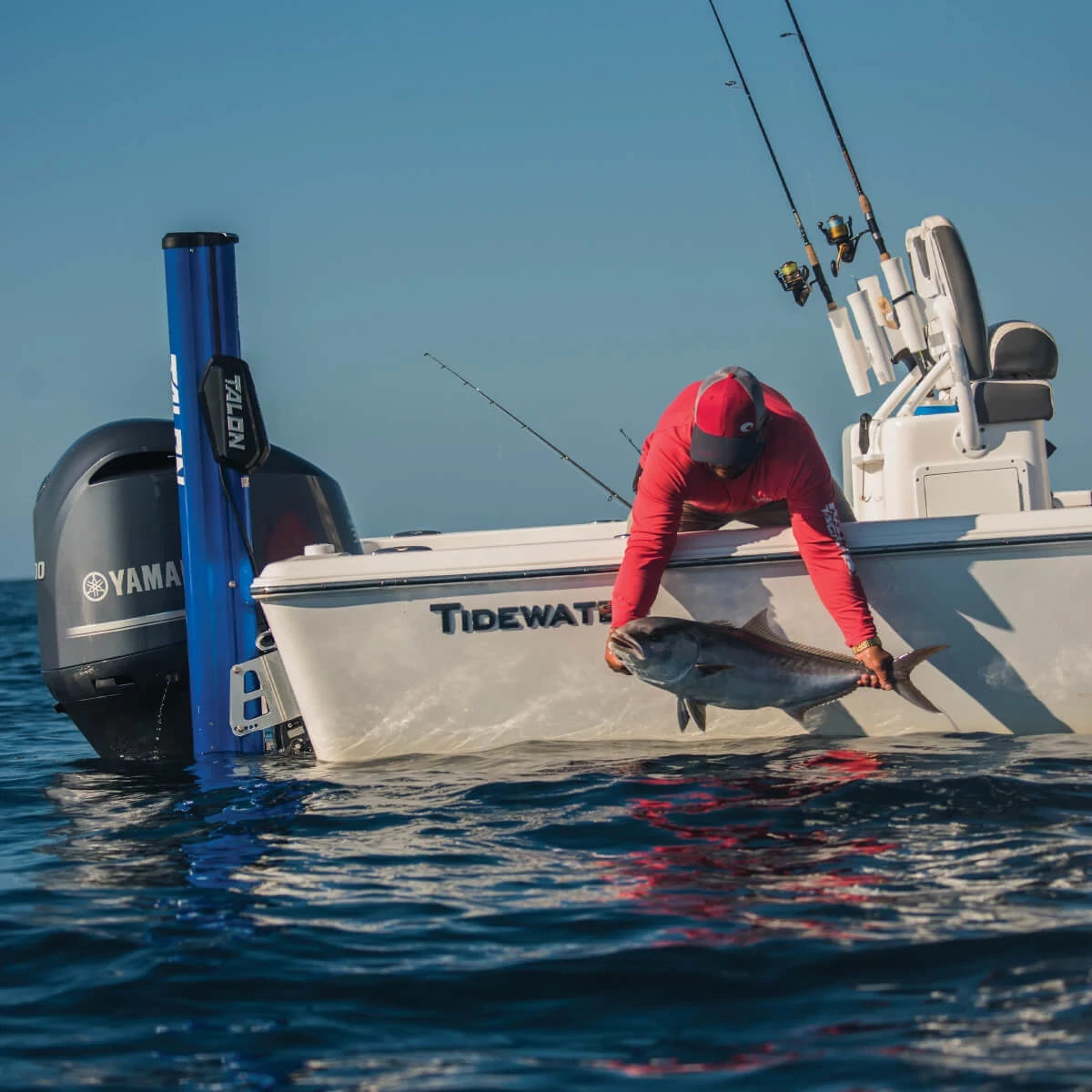 Talon Shallow Water Anchors - Minn Kota