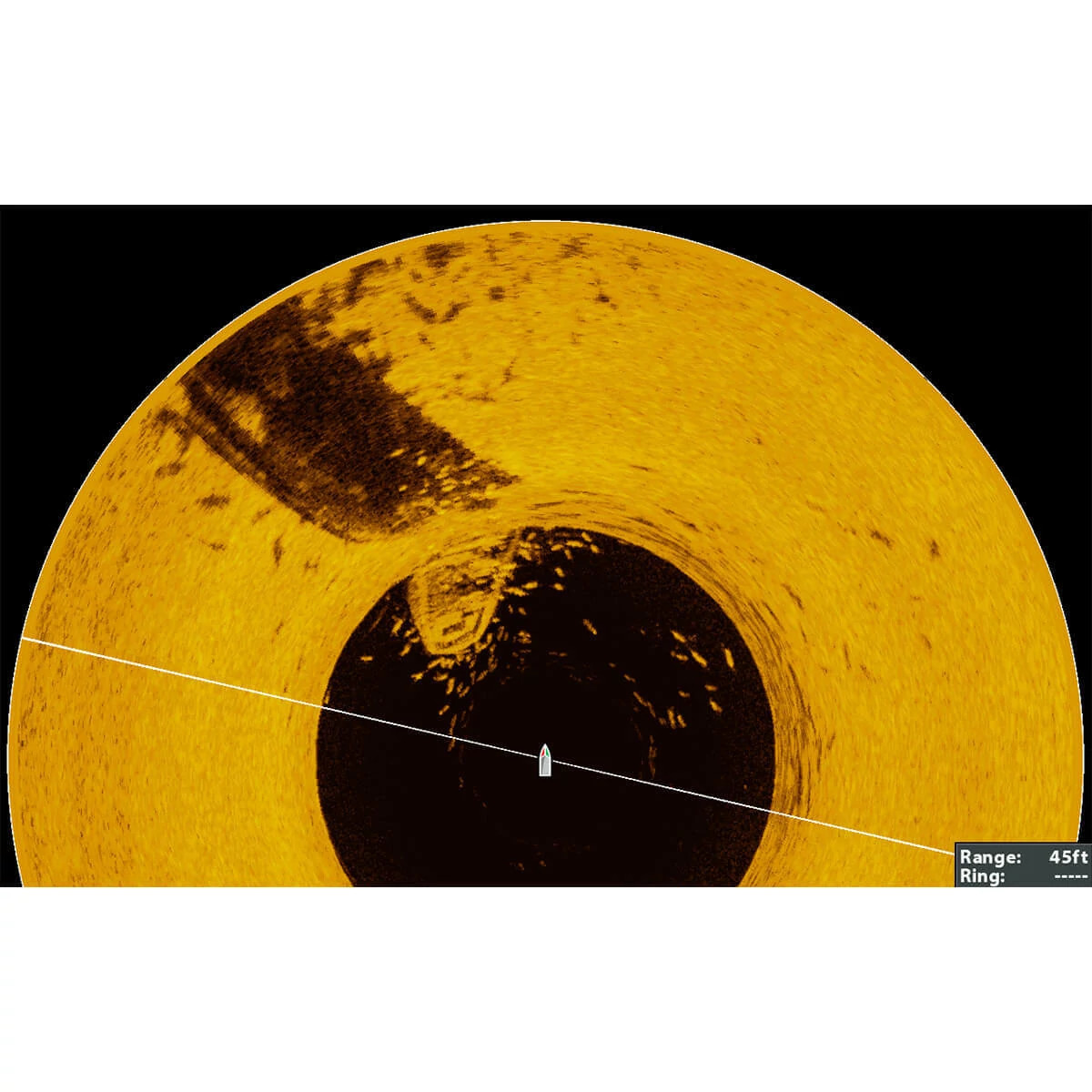 MEGA 360 Imaging - Fortrex - Humminbird